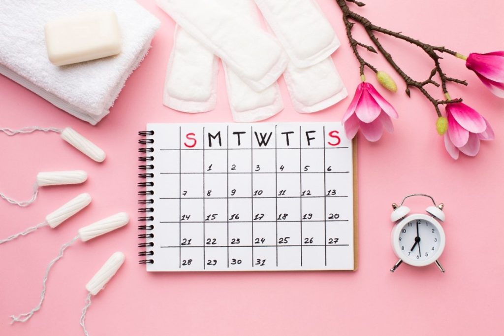 Menstrual Cycle Calculator | Understand Your Cycle